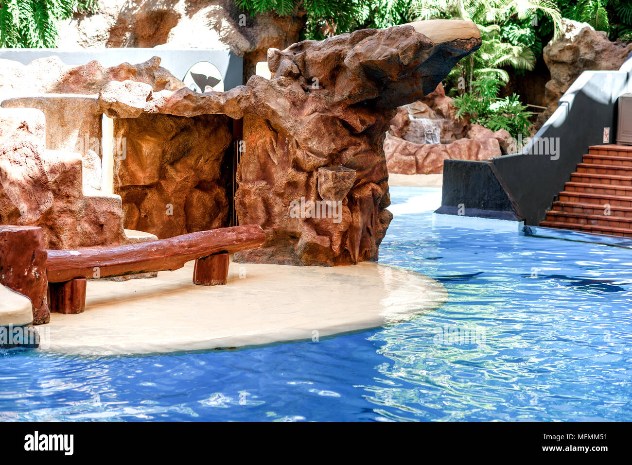 TENERIFE, SPAIN - April: water shows with killer whales in Loro Park ...