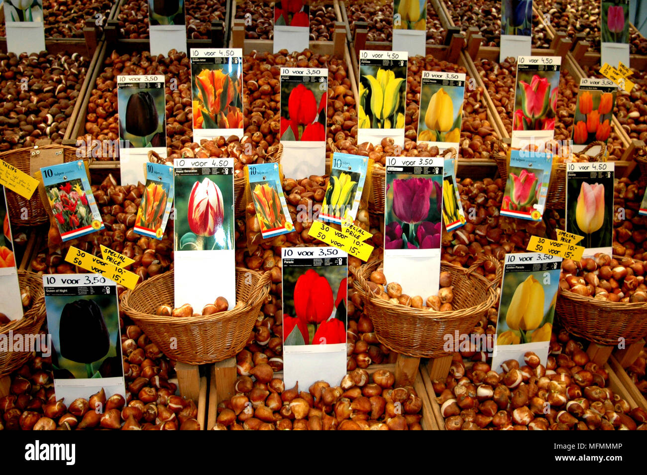 Tulip seeds hi-res stock photography and images - Alamy