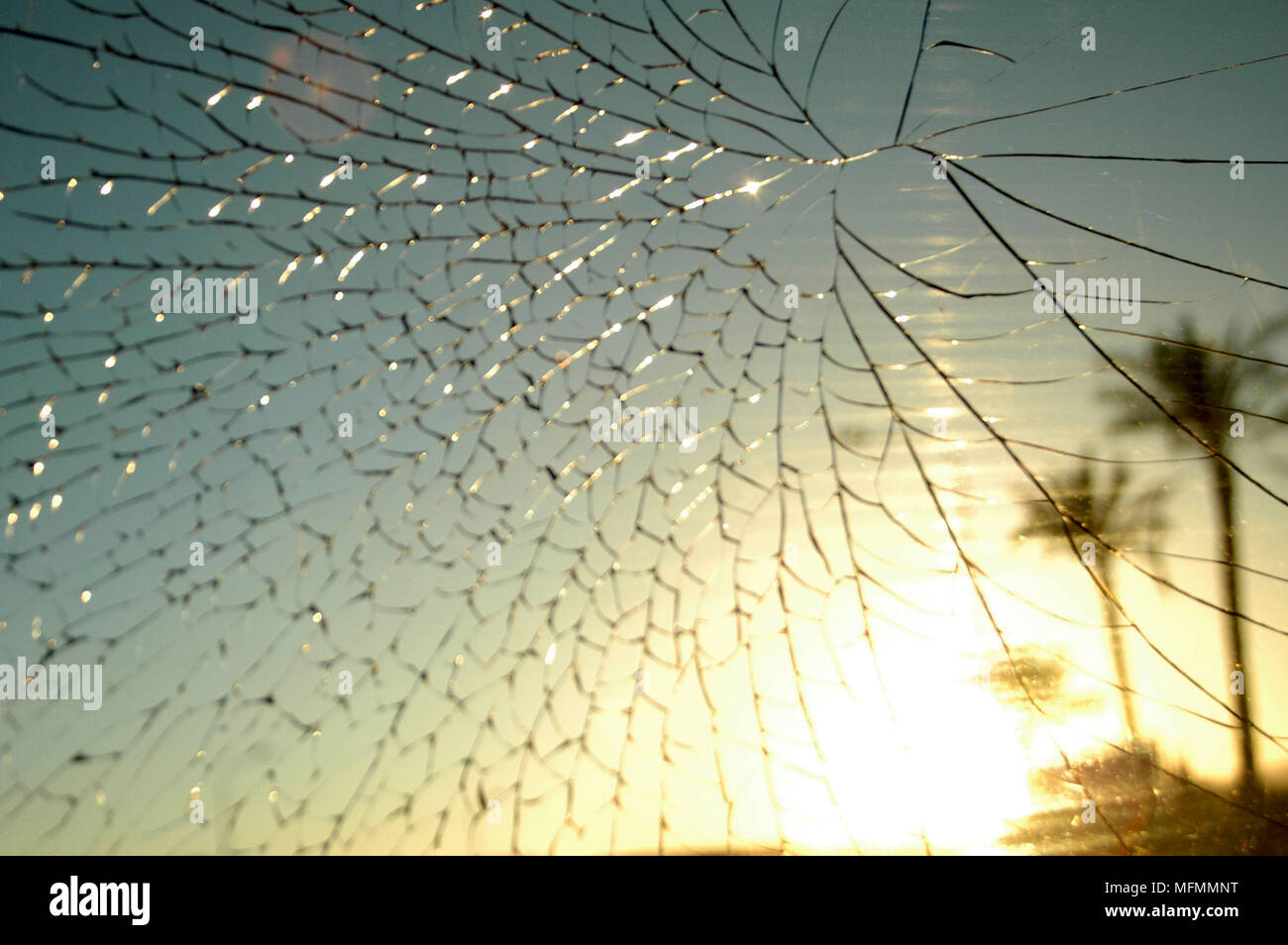 Close-up of broken glass Ref: CRB416 10009 048 Compulsory Credit: Kate ...