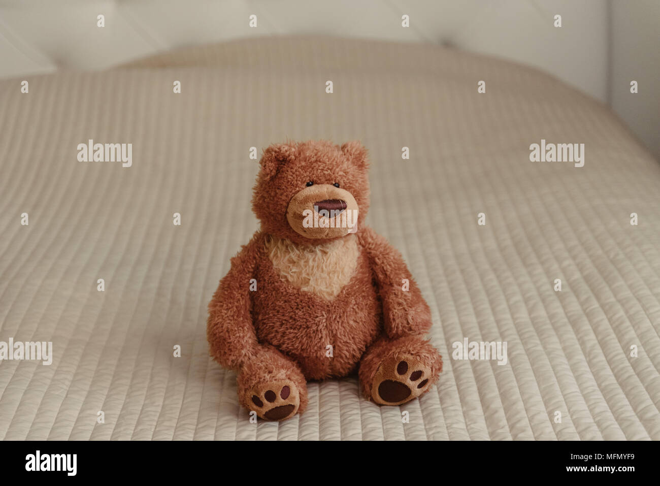 Lonely teddy bear hi-res stock photography and images - Alamy