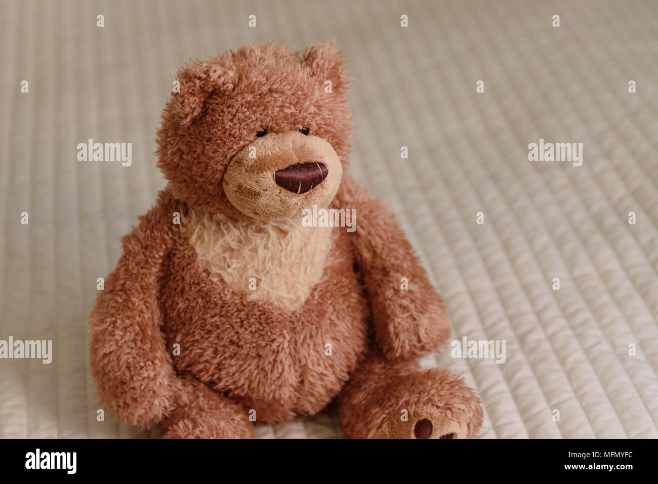 Lonely Teddy bear, Lonely teddy bear in the home Stock Photo - Alamy