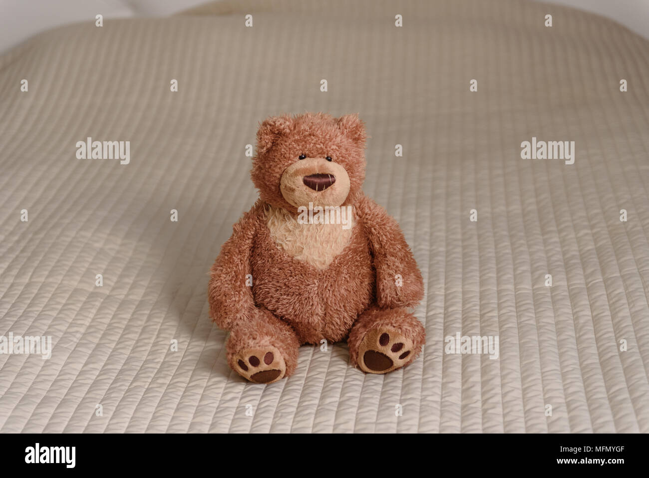 Lonely teddy hi-res stock photography and images - Alamy