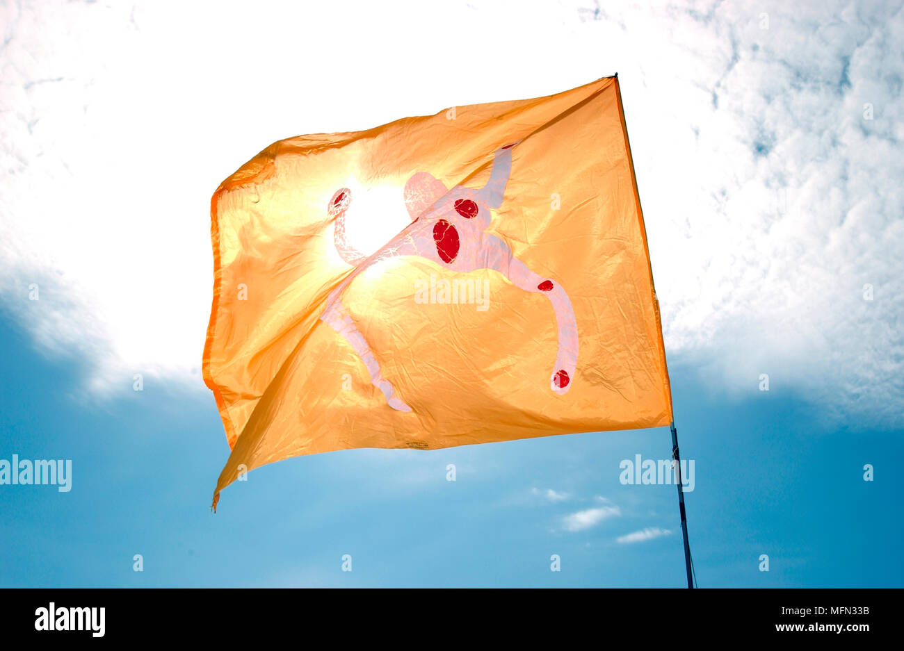 Low angle view of a flag fluttering Ref: CRB360 10028 018 Compulsory ...