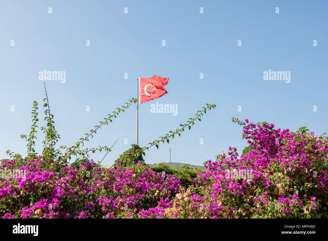 Blue peter flag hi-res stock photography and images - Alamy