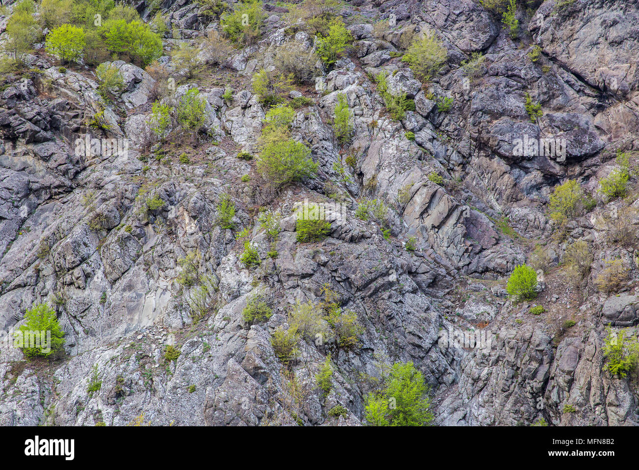Texture of rock Stock Photo - Alamy