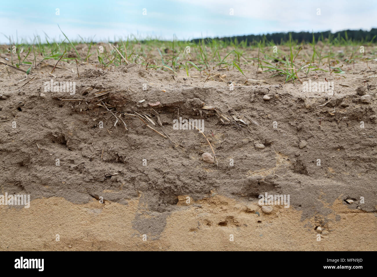 Bodenkunde hi-res stock photography and images - Alamy
