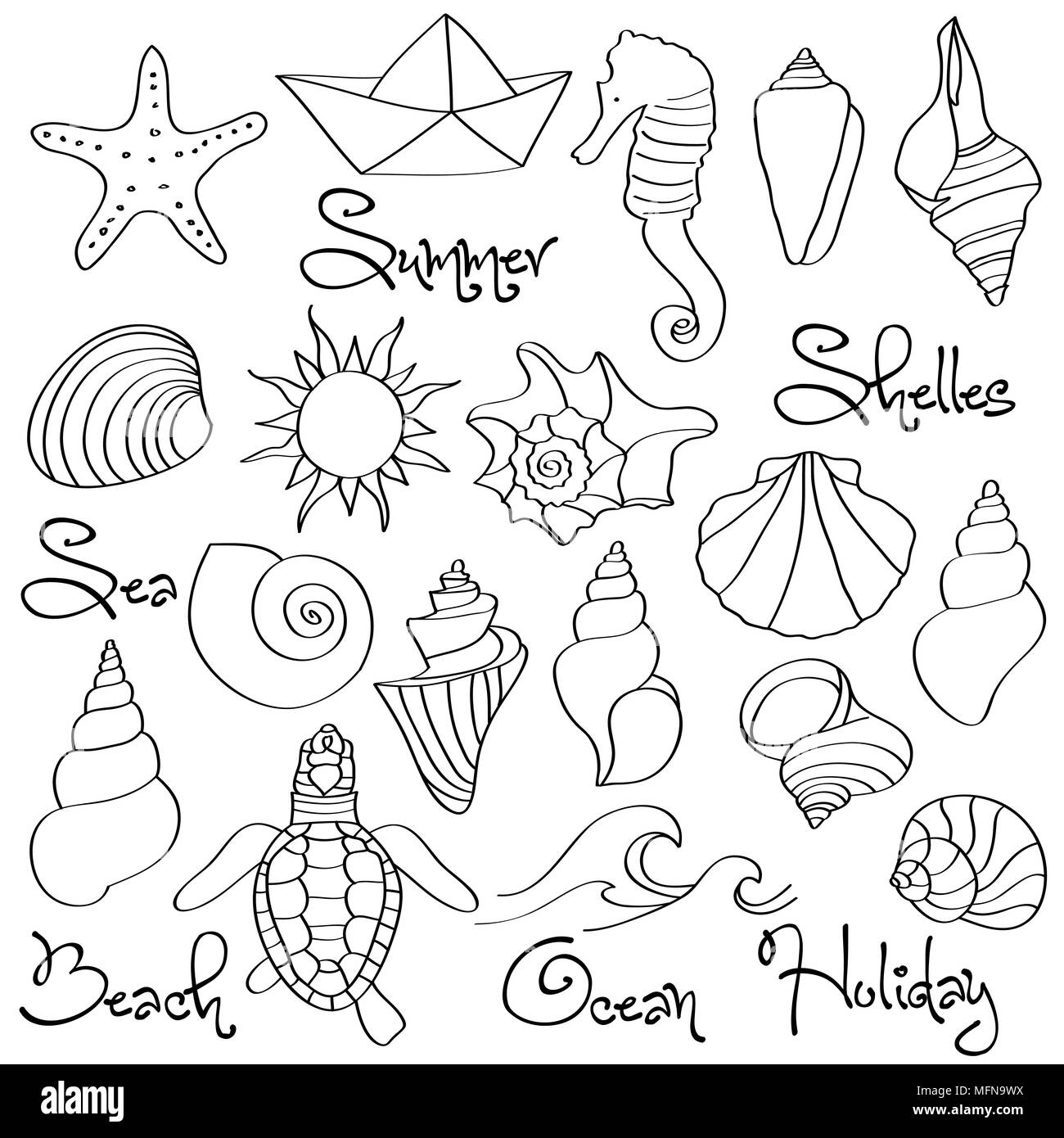Hand drawn doodle Seashells and Sea elements set. Vector format Stock ...