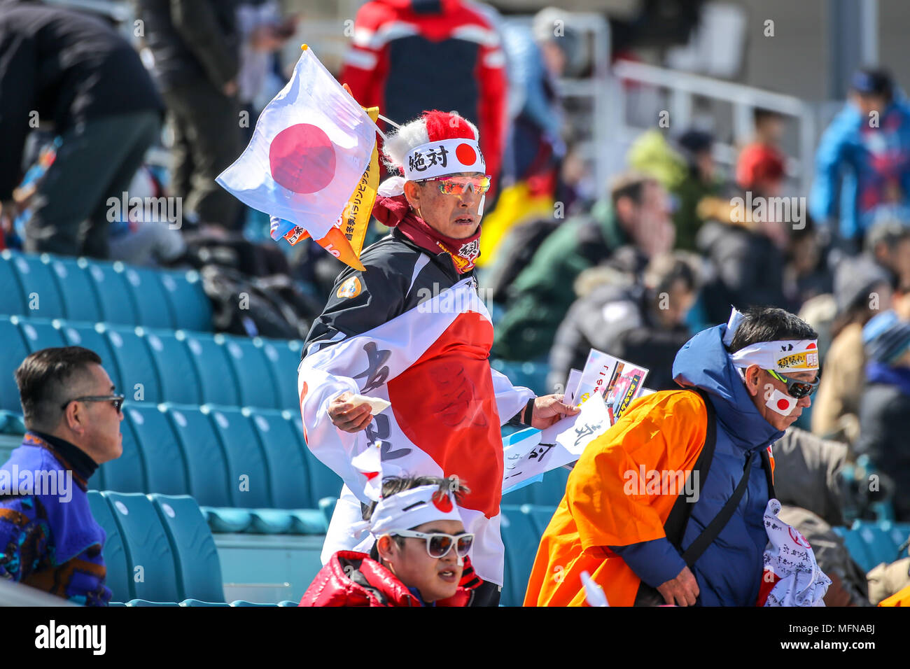 Paralympic biathlon hi-res stock photography and images - Alamy