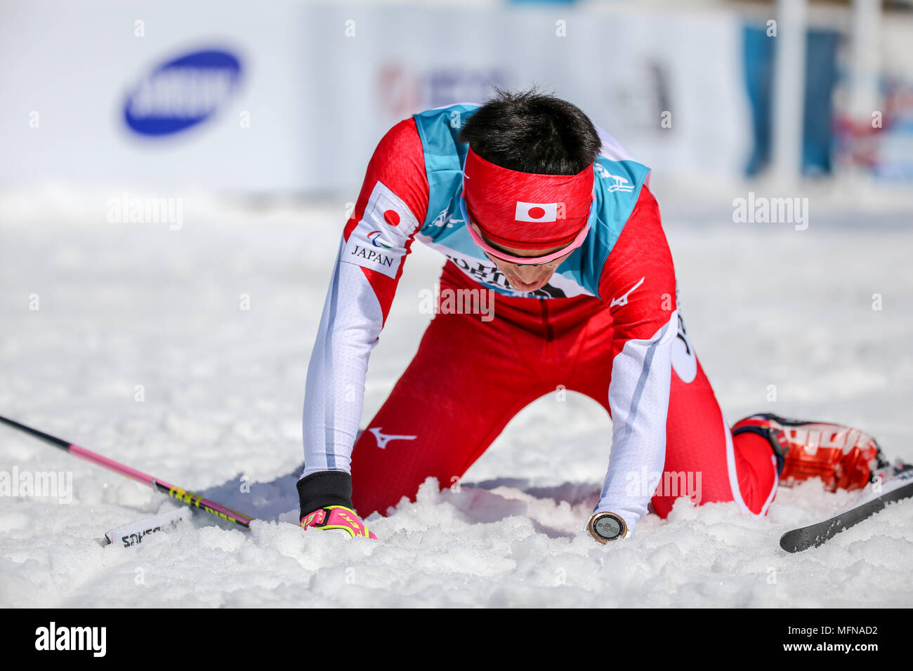 Paralympic biathlon hi-res stock photography and images - Alamy