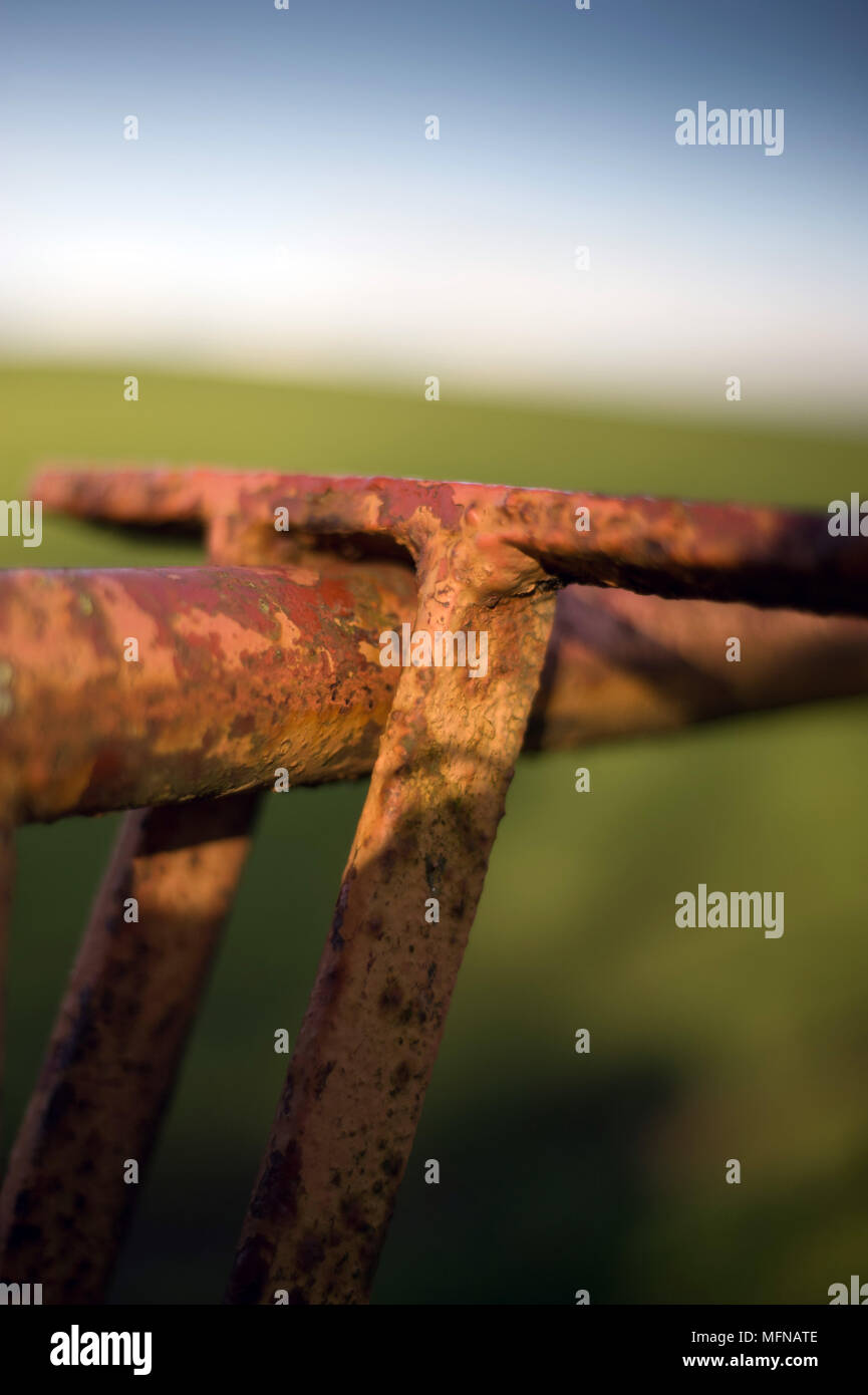Gate clasp hi-res stock photography and images - Alamy