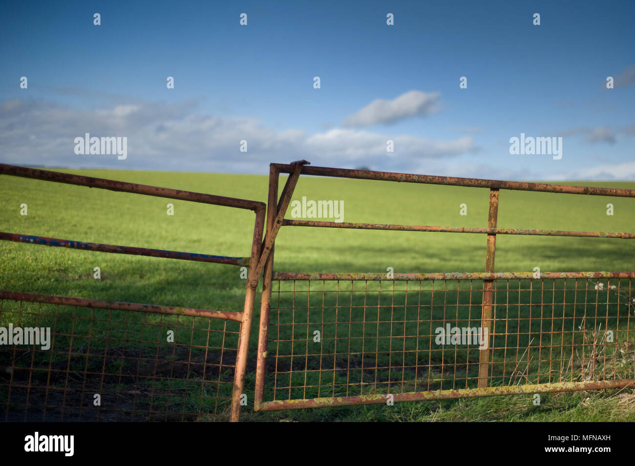 Closed metal gate into field Stock Photo - Alamy