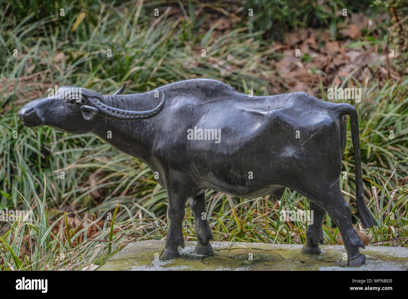 Water Buffalo Statue At Artis Zoo Amsterdam The Netherlands Stock Photo ...