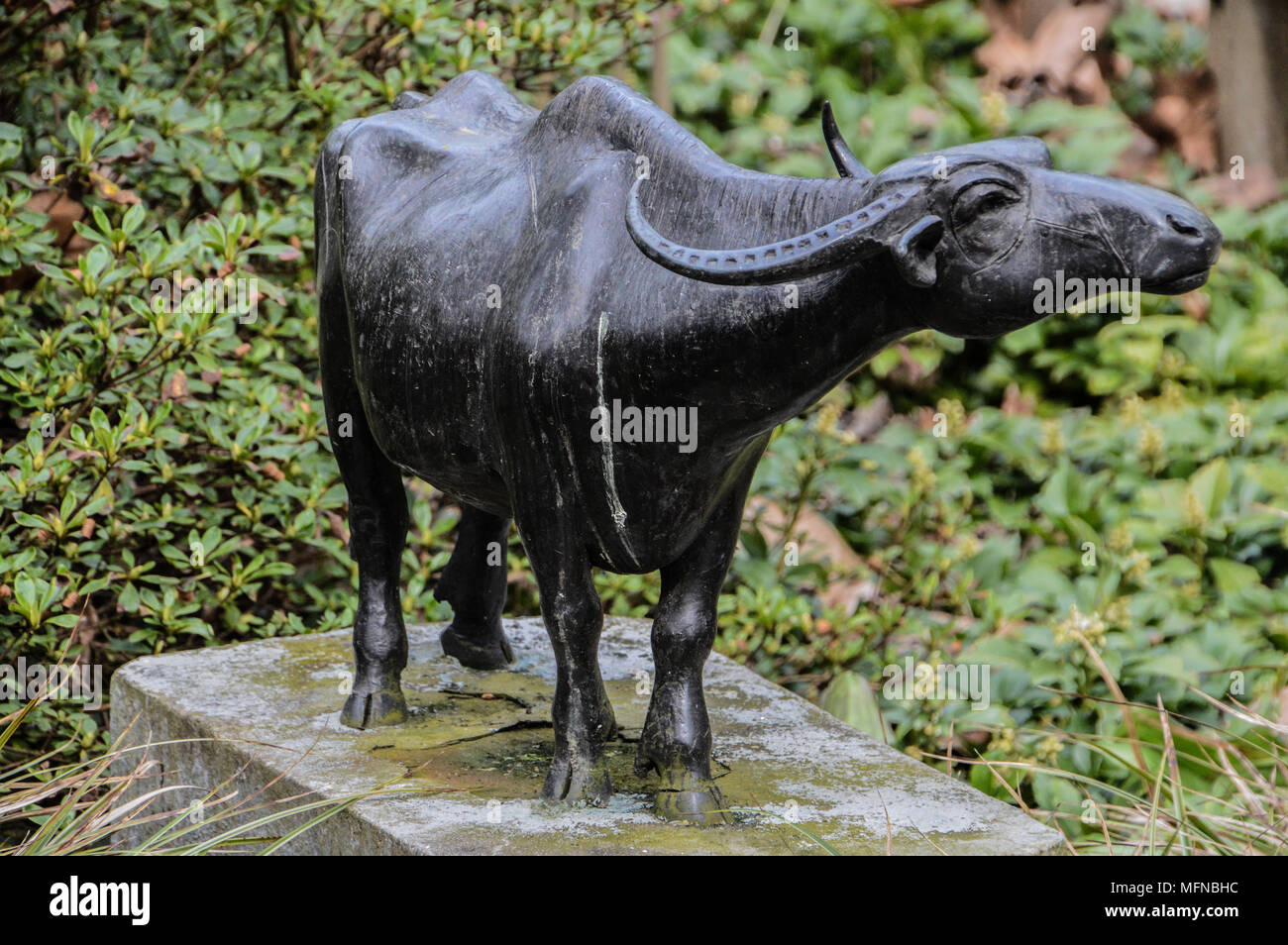 Buffalo Statue High Resolution Stock Photography and Images - Alamy