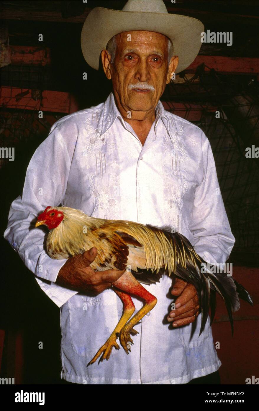 Man with a rooster hi-res stock photography and images - Alamy