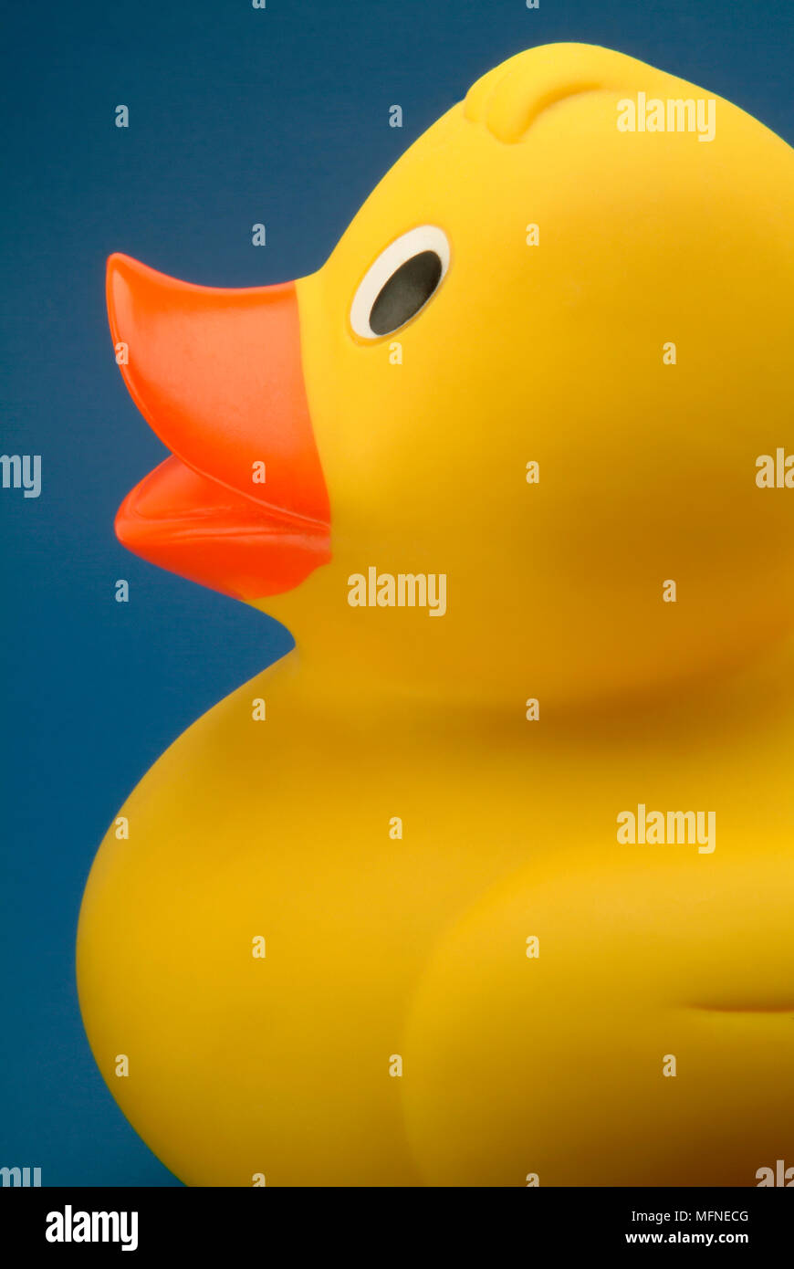 Close-up of a rubber duck Ref: CRB117 10024 122 Compulsory Credit ...