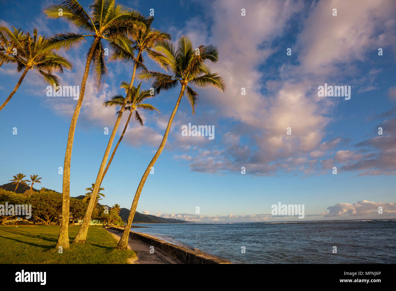 Amazing hawaiian beach Stock Photo - Alamy
