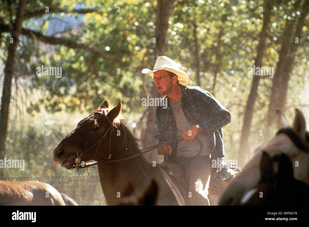 City slickers ii legend curlys hi-res stock photography and images - Alamy