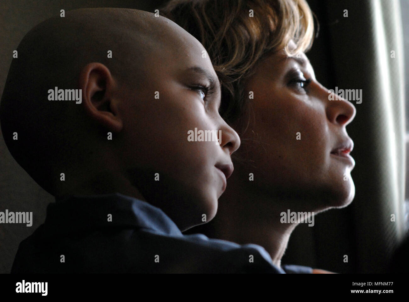 Oscar et la Dame Rose Oscar and the Lady in Pink France / Belgium ...