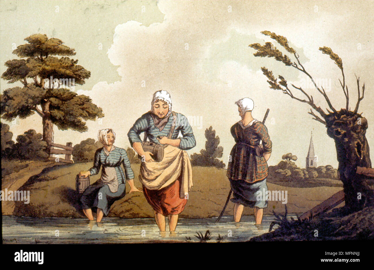 Leeches medicine hi-res stock photography and images - Alamy