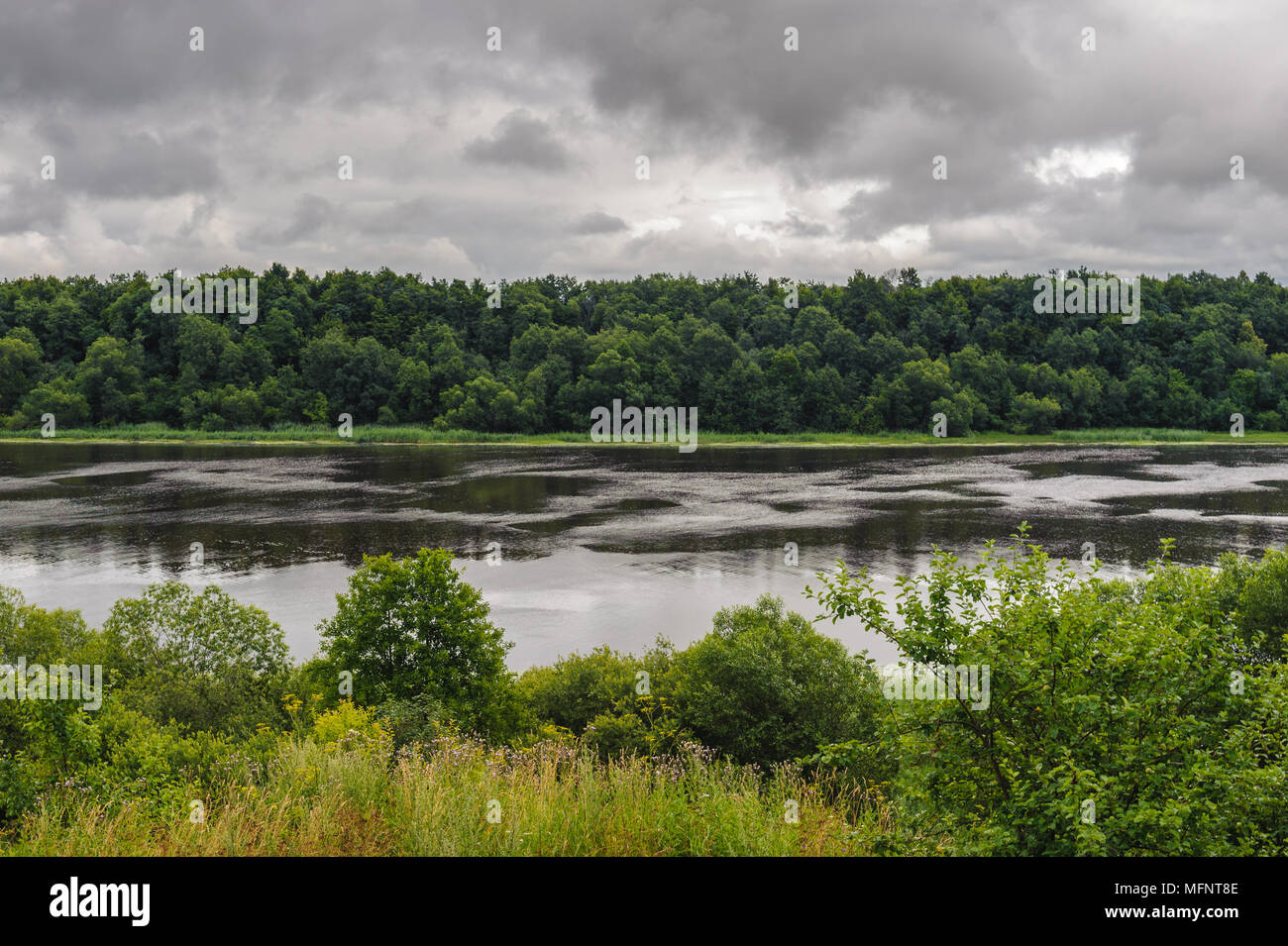 River Volkhov, and green nature, Russia Stock Photo - Alamy