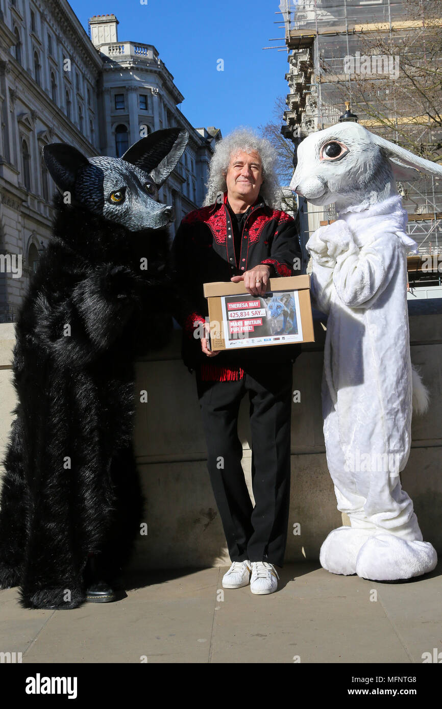 Queen guitarist Brian May alone with animal-protection campaigners ...