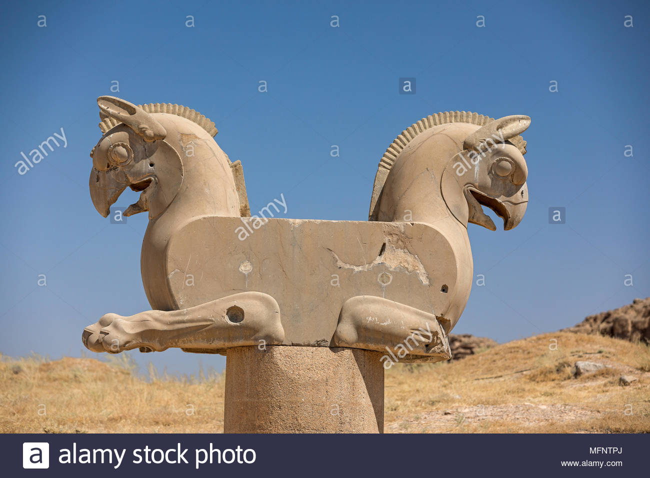 Zoomorphic Architecture High Resolution Stock Photography and Images ...