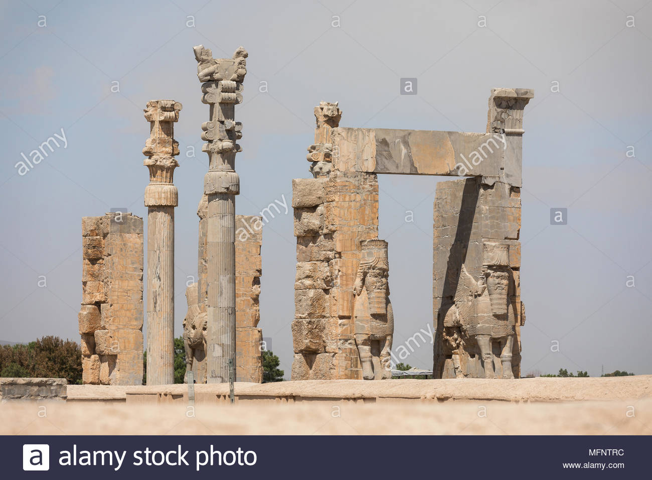 Iraian Culture High Resolution Stock Photography and Images - Alamy