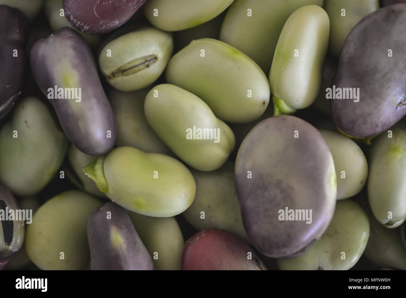 Top view fava beans close up composition Stock Photo - Alamy