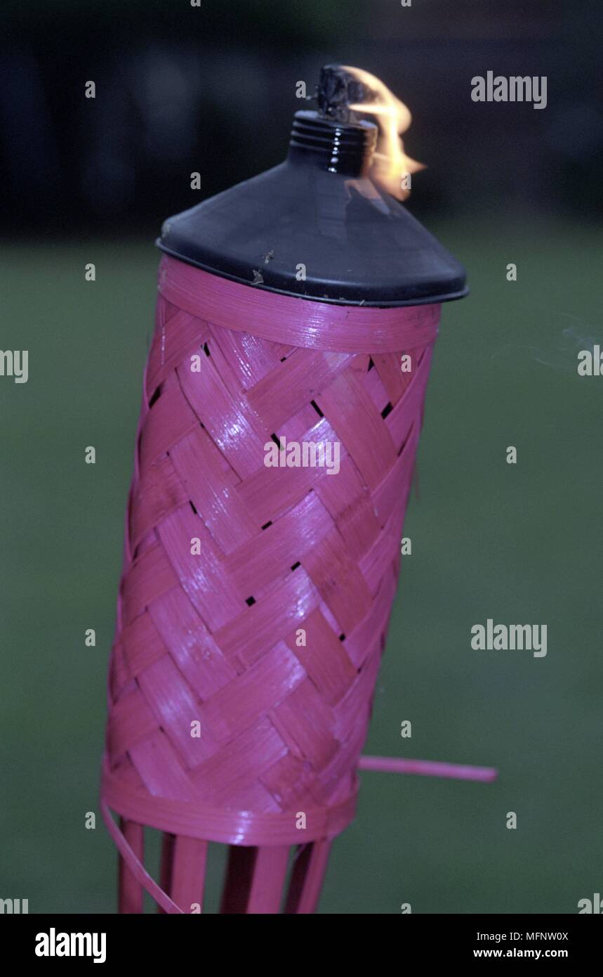 Pink Garden flare Ref: CRB457 103646 0125 COMPULSORY CREDIT: Helen ...