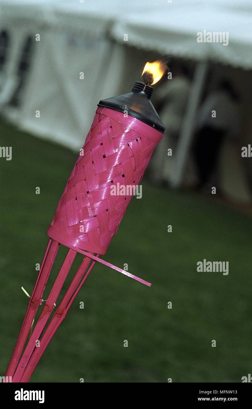 Pink Garden flare Ref: CRB457 103646 0126 COMPULSORY CREDIT: Helen ...