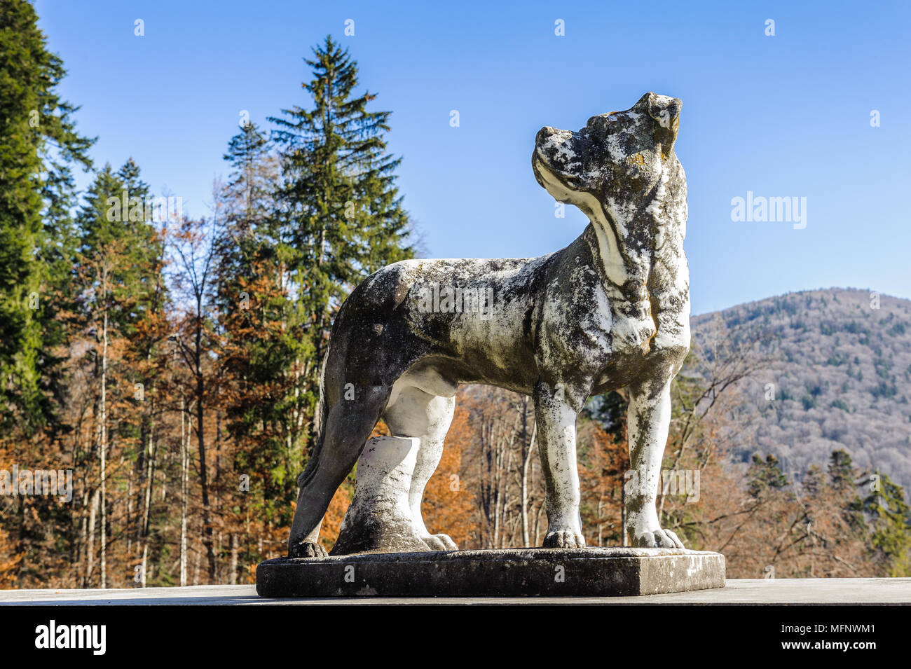 Dog Statue in the garden of the Peles Castle, Carpathian mountains ...