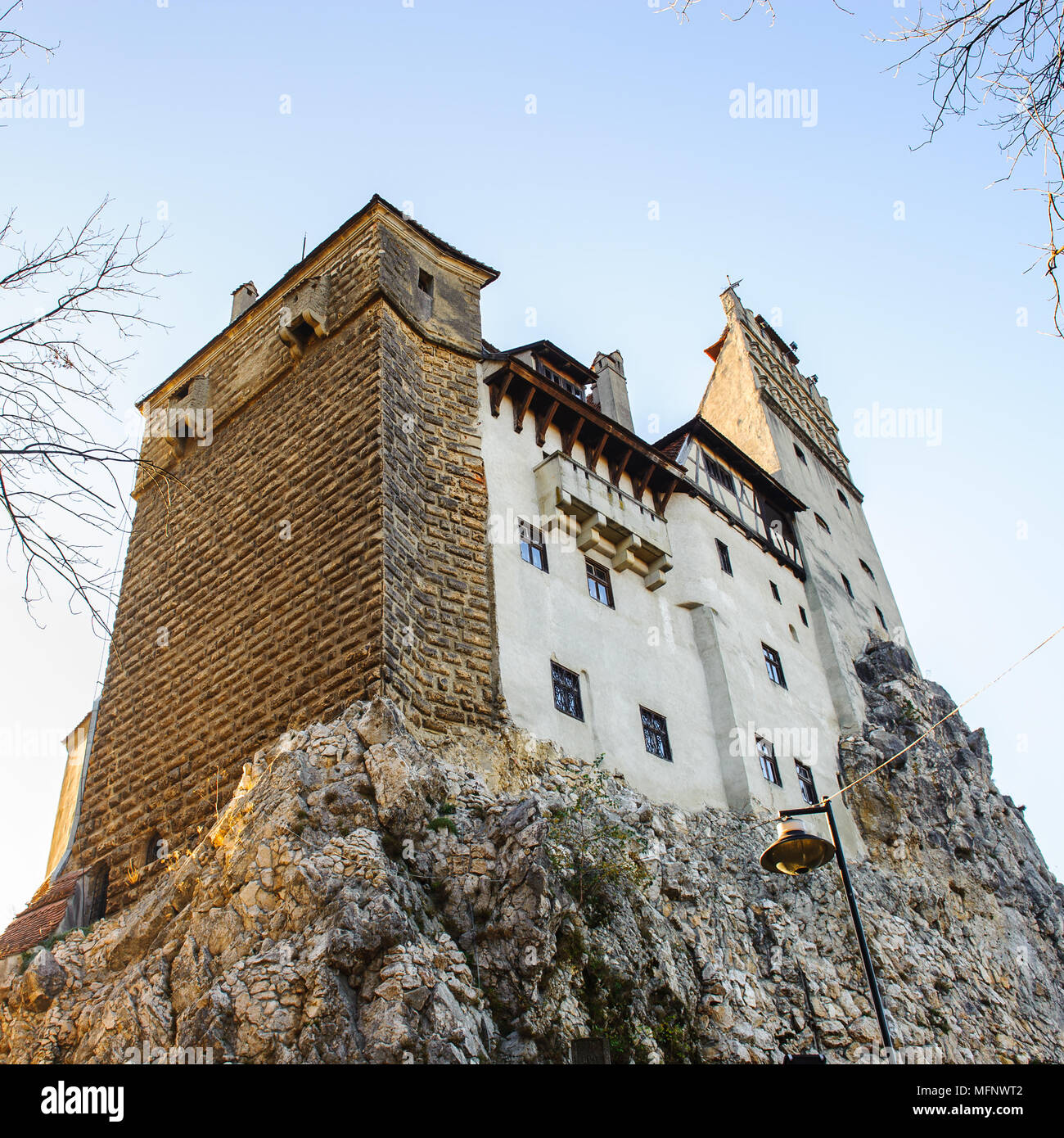 Count Vladimir Dracula