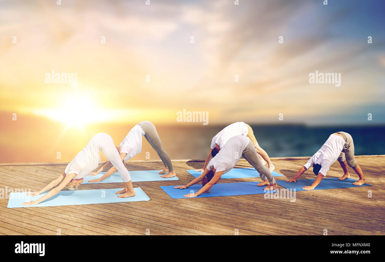 Dog yoga group hi-res stock photography and images - Alamy