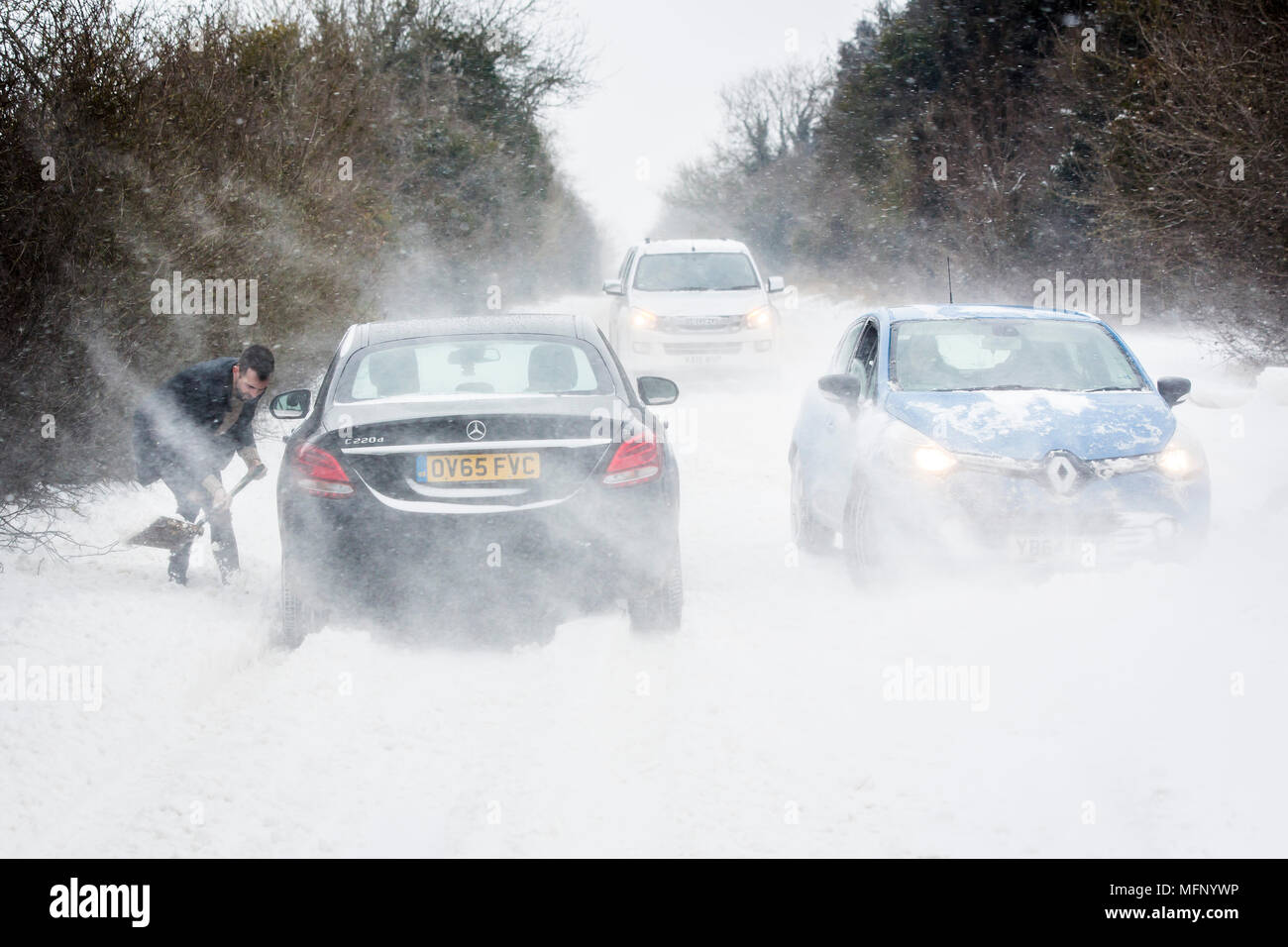 Stuck in a hedge hi-res stock photography and images - Alamy
