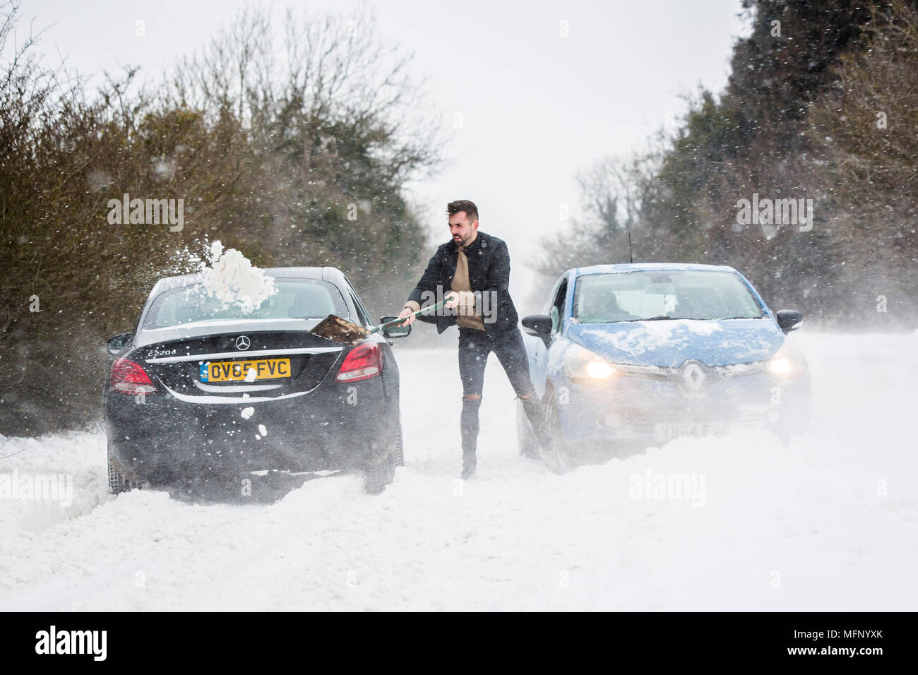Dig tree man hi-res stock photography and images - Alamy