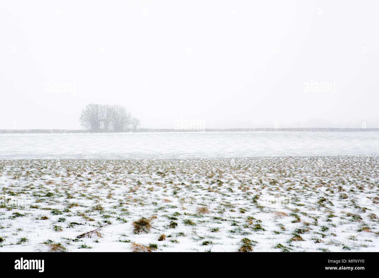 Bramble hedgerow field hi-res stock photography and images - Alamy