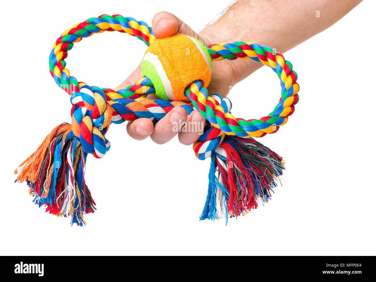 Hand with dog toy Stock Photo - Alamy
