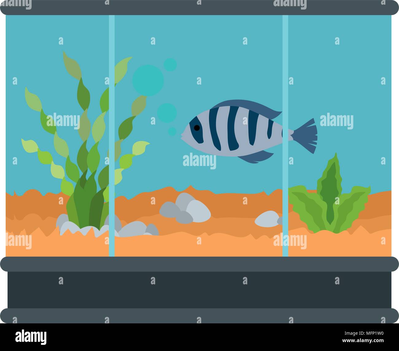 square aquarium with colors fish vector illustration design Stock ...
