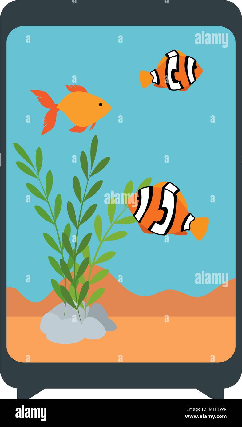 Fish tank isolated rectangular hi-res stock photography and images - Alamy