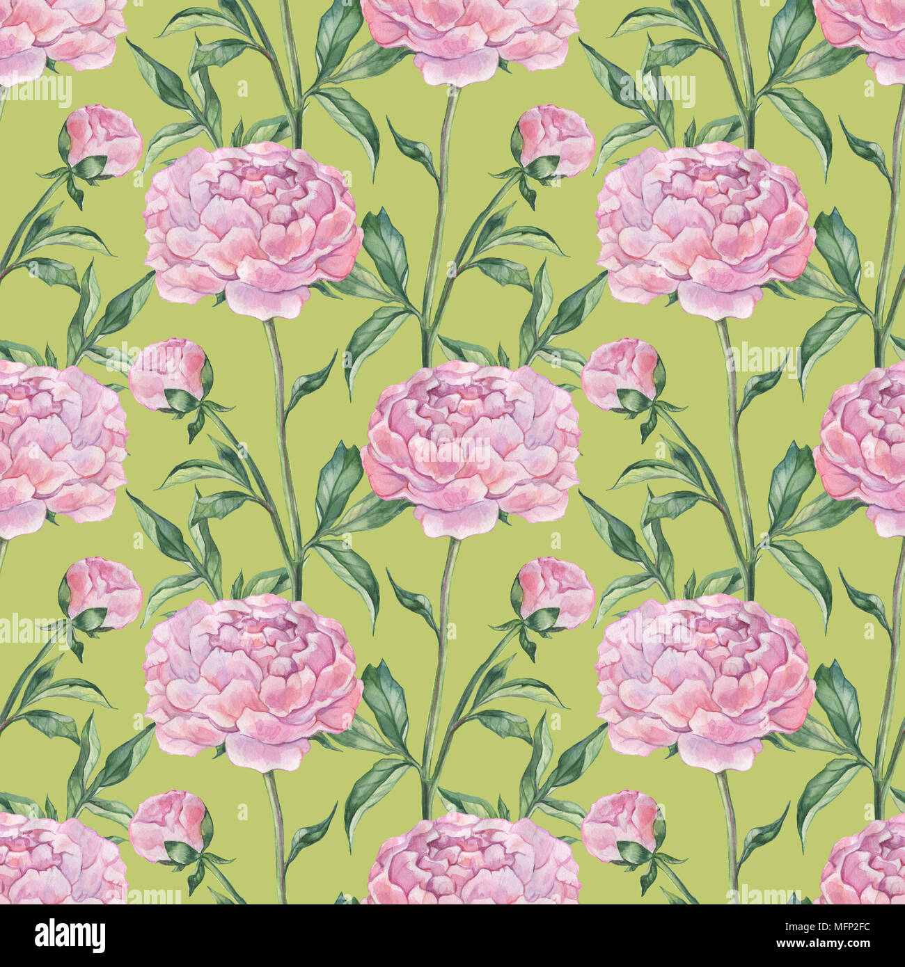 Hand Drawn seamless pattern of Peonies Stock Photo - Alamy