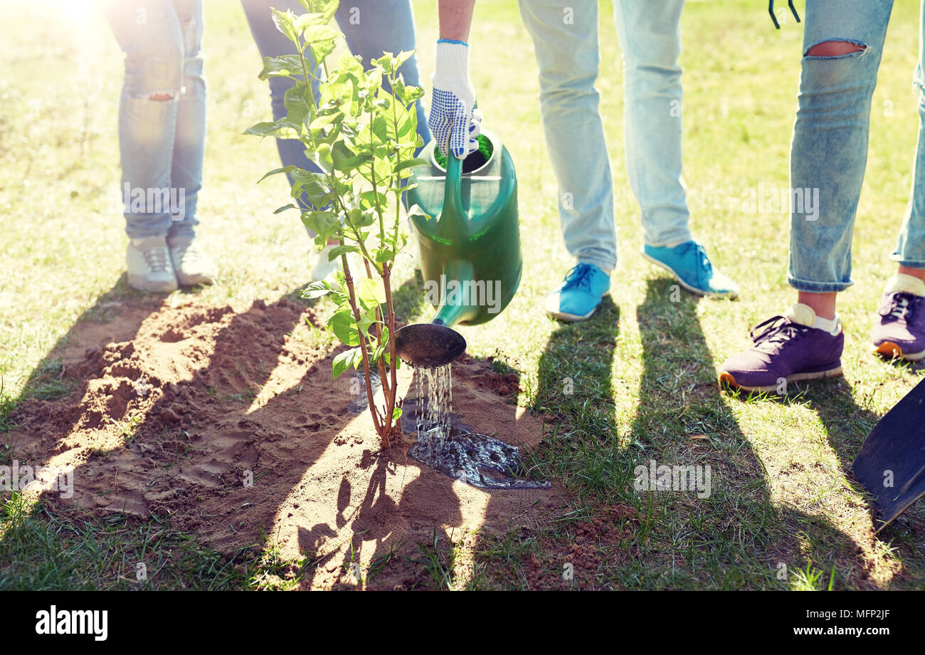 Public tree planting hi-res stock photography and images - Alamy