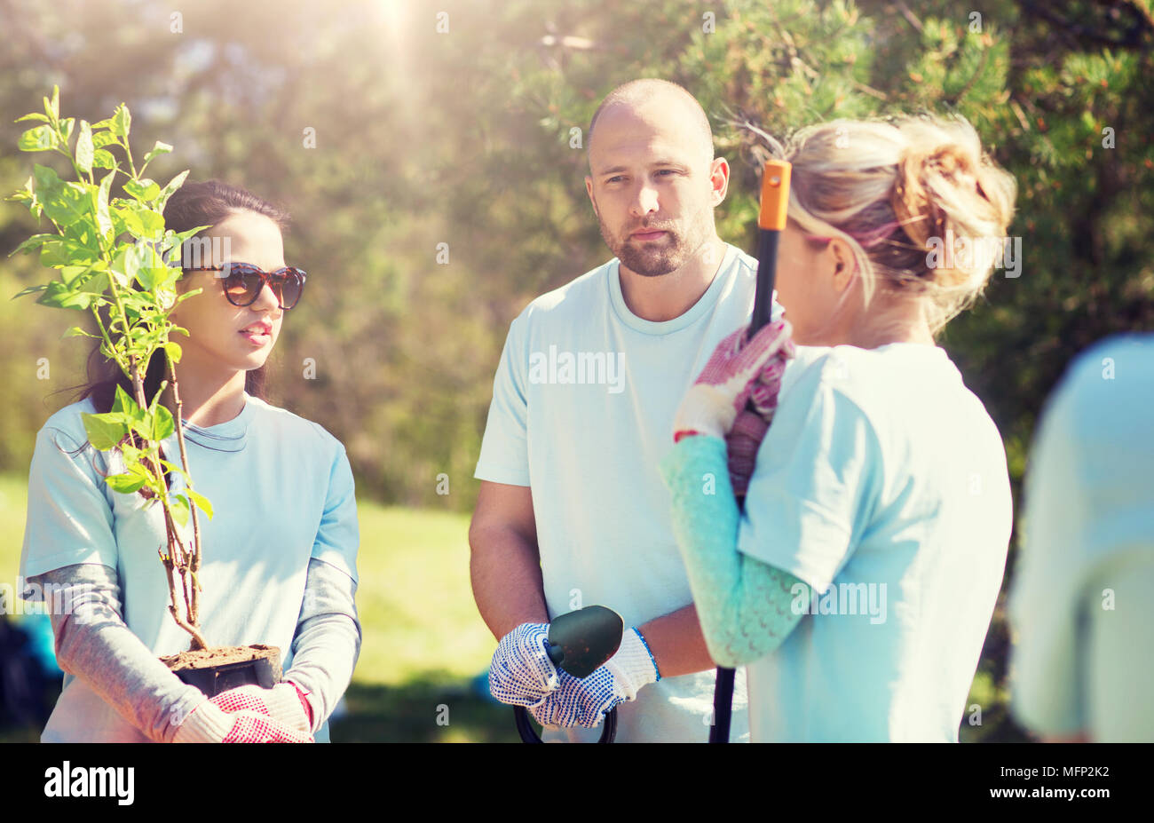group of volunteers planting trees in park Stock Photo - Alamy