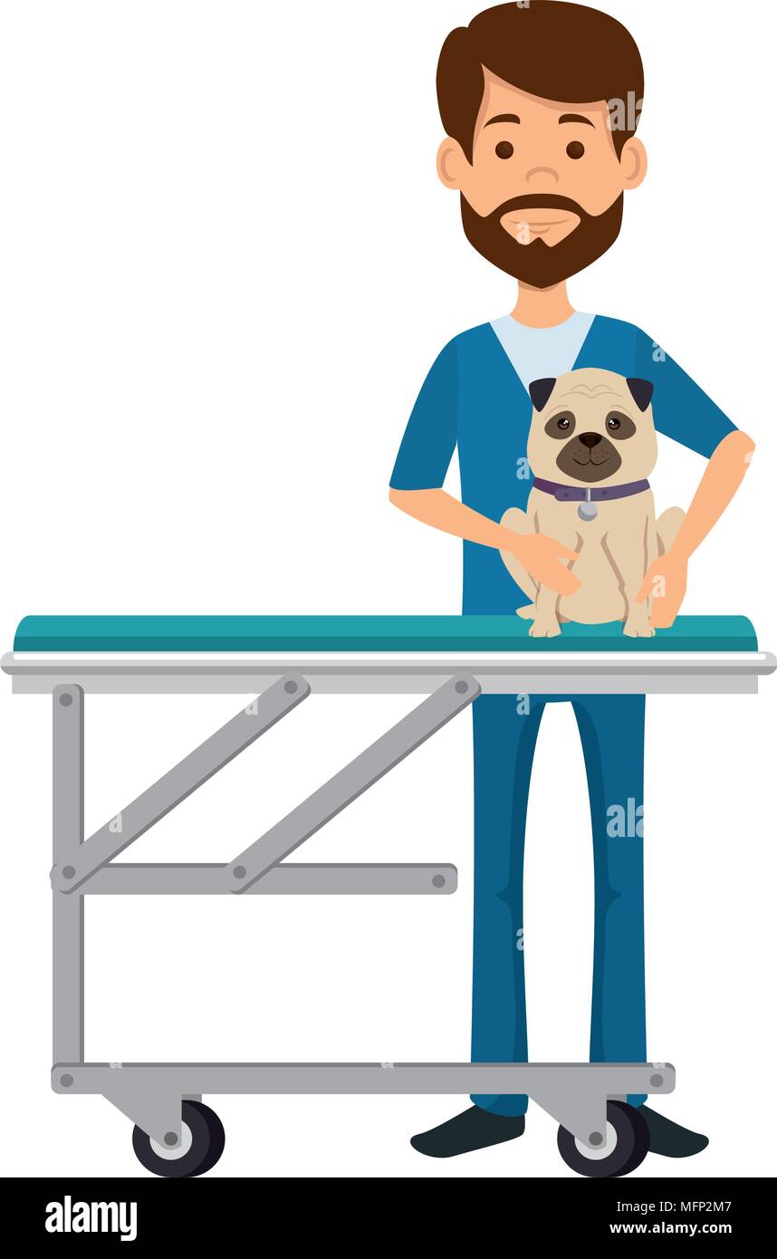 veterinary doctor with dog in stretcher avatar character vector ...