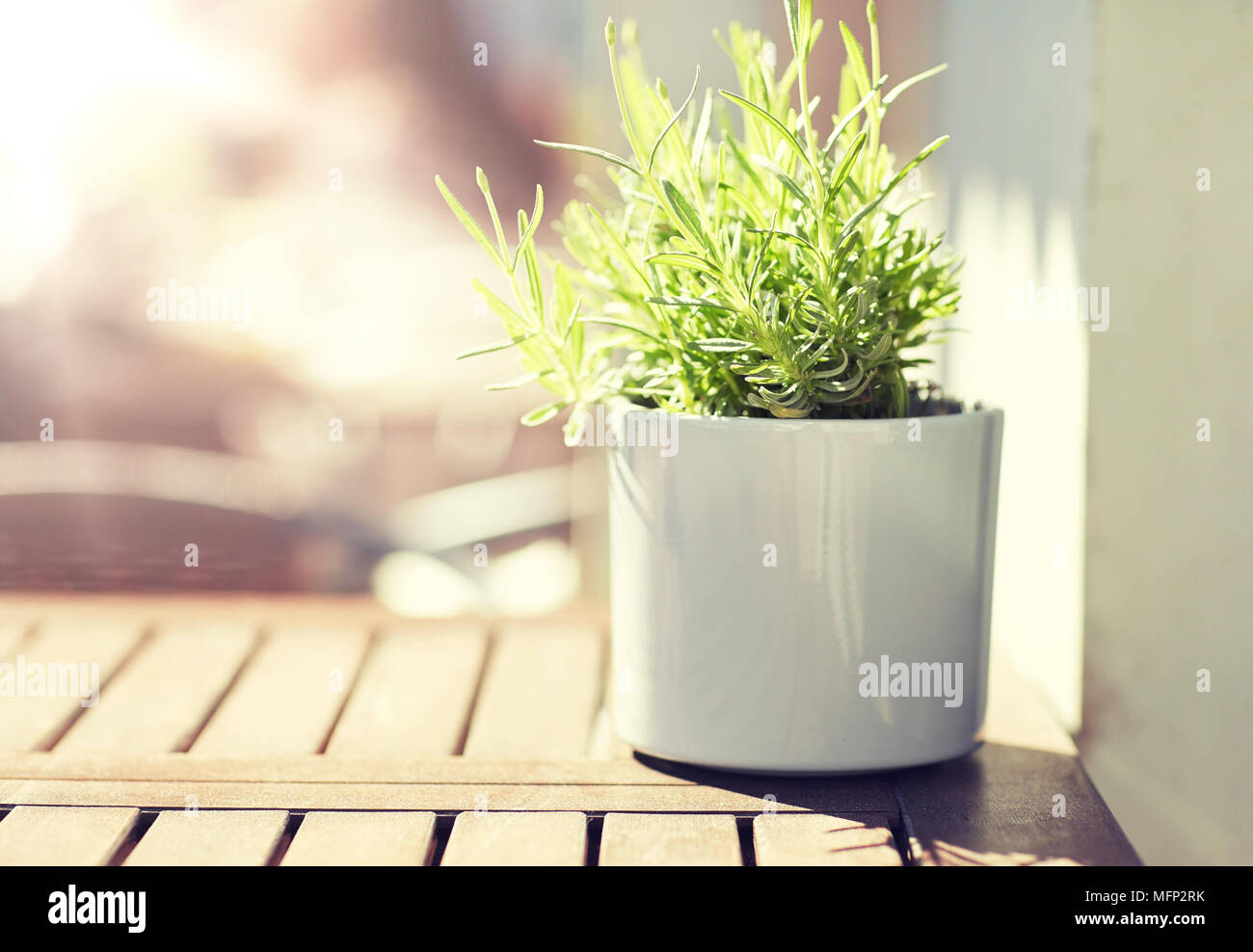 Bio green cafe hi-res stock photography and images - Alamy