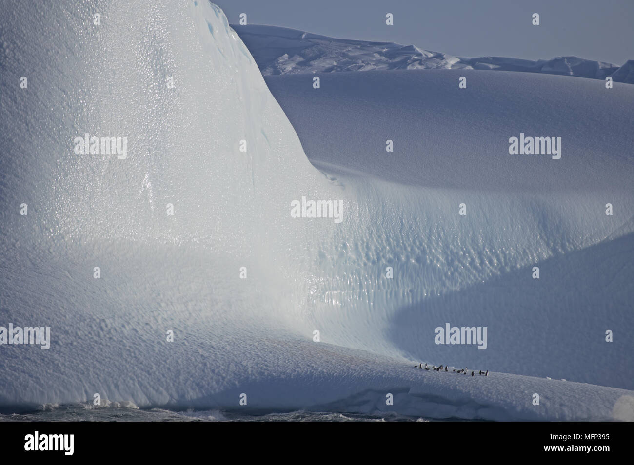 Panoramic view of a polar landscape Ref: CRB419 10001 007 Compulsory ...