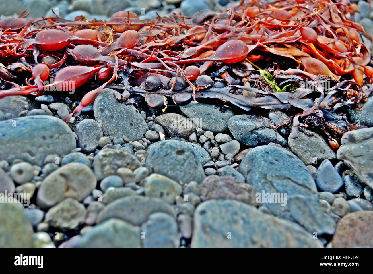 An aird beach hi-res stock photography and images - Alamy