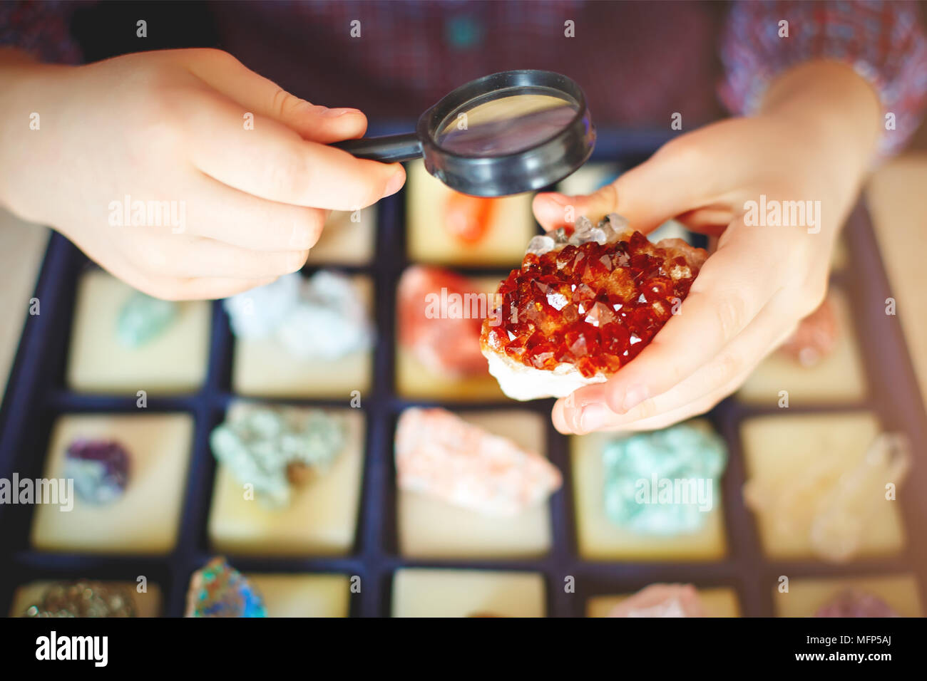 The child looks at his collection of minerals. The little geologist ...