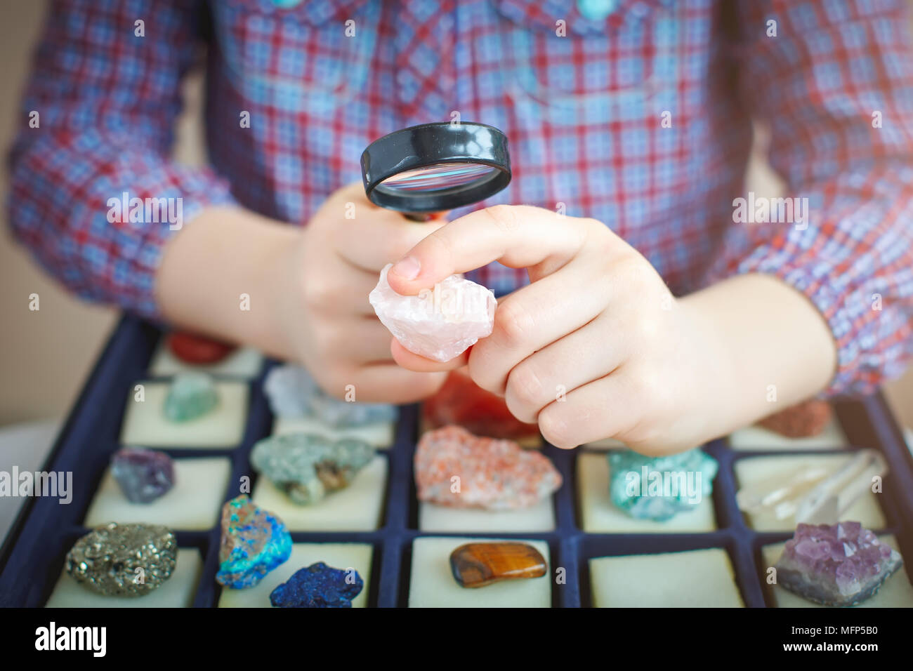 The child looks at his collection of minerals. The little geologist ...
