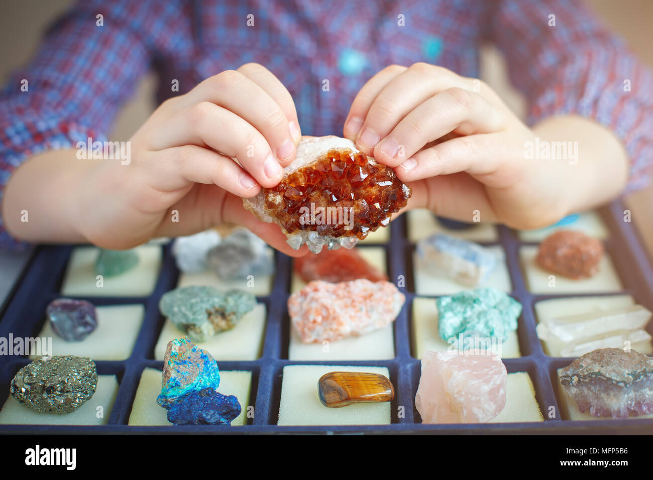 The child looks at his collection of minerals. The little geologist ...