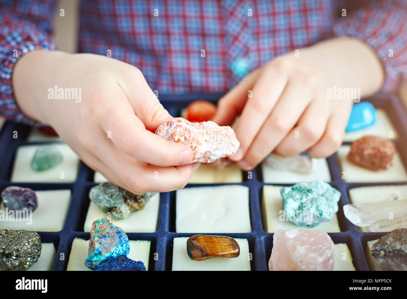 The child looks at his collection of minerals. The little geologist ...